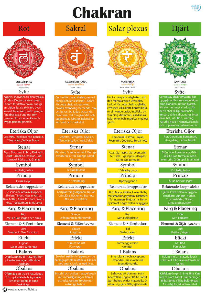 Chakrakarta guide till 7 Chakran – REN Workshops